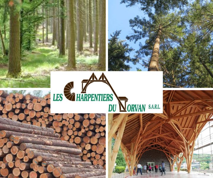 Actualité | Le pin Douglas : la qualité d’un bois local